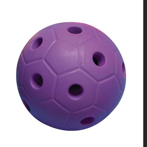 Kixz Goalball Purple Size 5 Ppel19082 Davies Sports