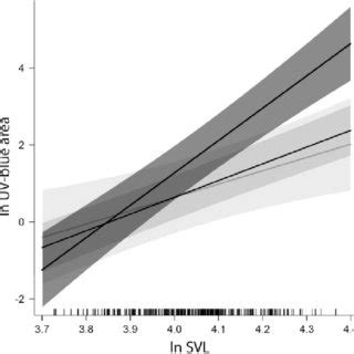 Example Of Photos Taken In The Visible And UV Spectra Used For Download Scientific Diagram