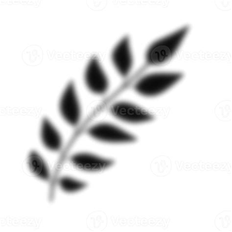 Leaf Shadow Illustration 10309082 Png