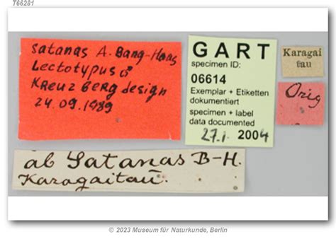 Parnassius D Delphius Type Specimens