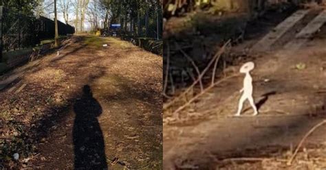 Woman Captures A Mystery Small Alien Humanoid Figure