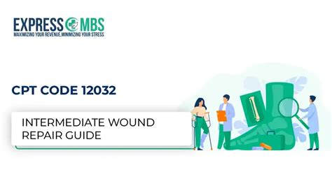 Cpt Code 12032 Intermediate Wound Repair Guide
