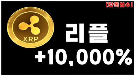 리플 』 단속입수한 정보입니다 꼭 시청바람 리플 리플코인 코인 리플전망 비트코인 비트토렌트 시바이누 호재 리플