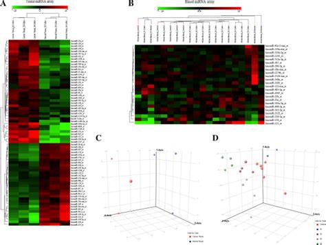 Hierarchical Clustering And PCA Analyses A Tissue MiRNA Array Data