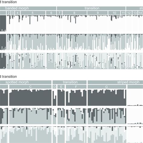 Structure Plots Based On Microsatellite Data For The Banded Striped Download Scientific Diagram