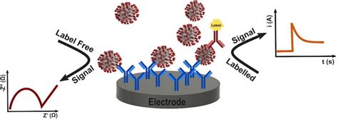 Electrochemical Detection Of Viruses And Antibodies A Mini Review Abstract Europe Pmc