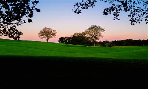 실루엣의 나무와 녹색 언덕 을 통해 조용한 일출 풍경 블랙 핑크 그린 블루 컬러의 높은 대비를 이루는 자연을 배경으로 합니다 골프장에 대한 스톡 사진 및 기타 이미지