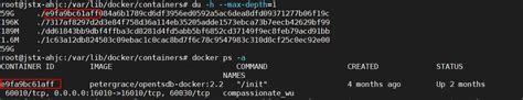 linux 清理磁盘空间and使用du指令排查服务器磁盘占用过大的文件 linux磁盘满了如何排查 csdn博客