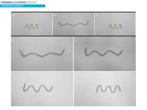 Shape Memory Polymers Materiability