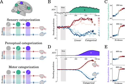 Motor And Perceptual Decisions A Hypothesis Space For When Responses