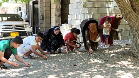 تووی هەورامان دەکرێتە دۆشاو Ava News