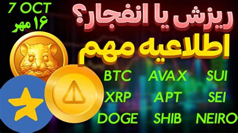 فوری اطلاعیه جدید میجر همستر نات کوین بیت کوین ارزهای آماده پرواز