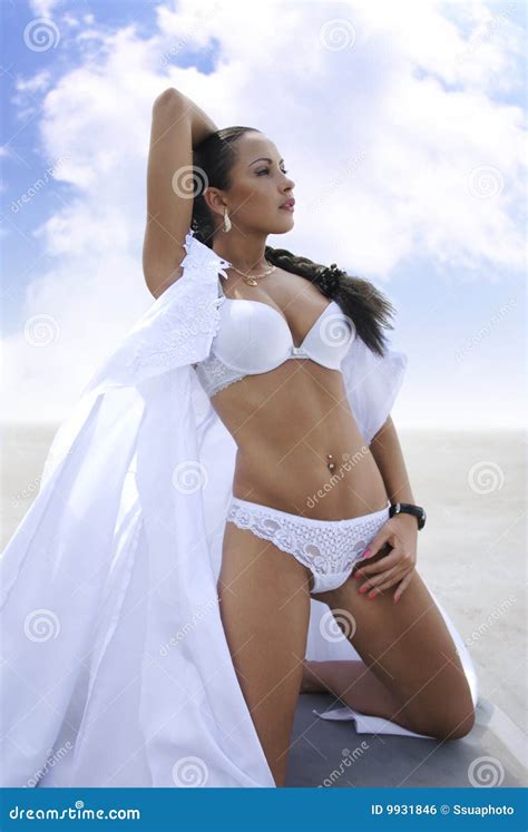 Mulher Bonita Em Uma Costa De Mar Foto De Stock Imagem De Sopro Forma