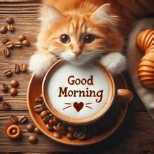  Cat Good Morning Tenor