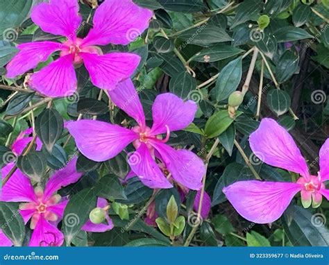 Structure Of Green Metal Beams Bolts And Rivets Steel Girder Bridge Structure Construction