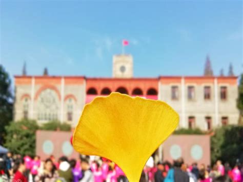 Pspnet Vs Deeplabv3 知乎