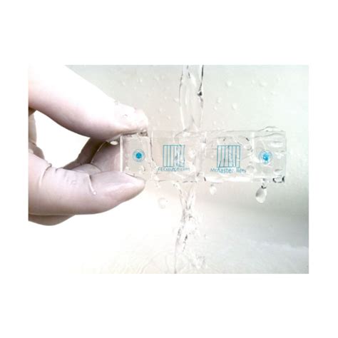 Mcmaster Method Slide For Fecal Egg Count Testing Mineral Buffet By