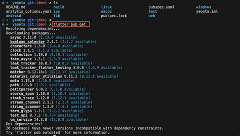Flutter 01 Splash 화면앱 실행화면 구현하기