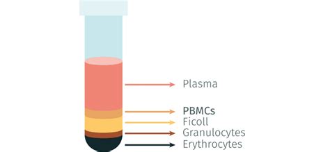 Pbmc Isolation And Cytokine Assays Made Easy Revvity