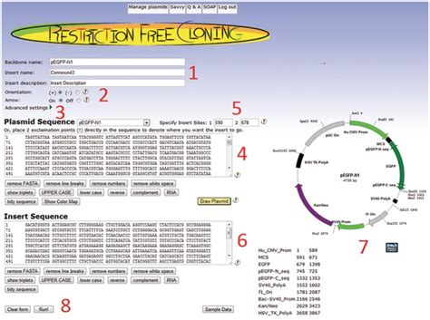 RF Cloning Org Input Page 1 Optional Information About The Project Download Scientific