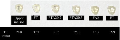 To Compare The Quantitative Tp Values The Translucency Download