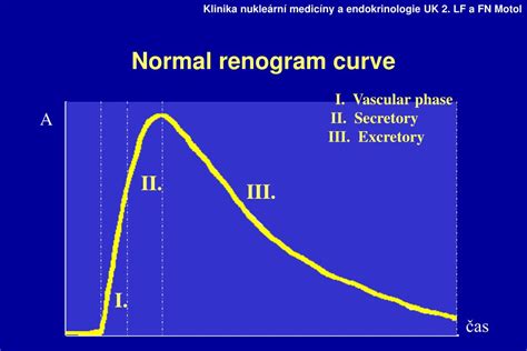 Ppt Renal Radionuclide Studies Kateřina Michalová Powerpoint