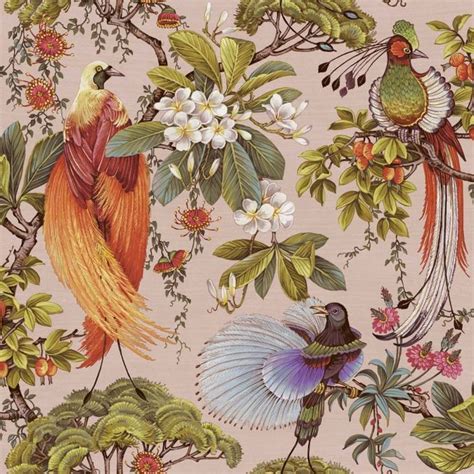 Exotic Bird Wallpaper