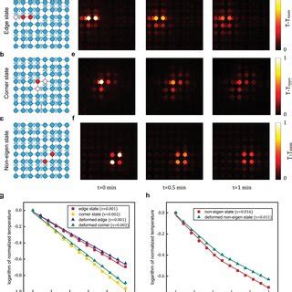 Experimental Excitations Of The Diffusion Modes In Nondeformed And Download Scientific Diagram