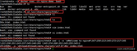 【docker】容器使用（nginx 示例）运行nginx容器 Csdn博客