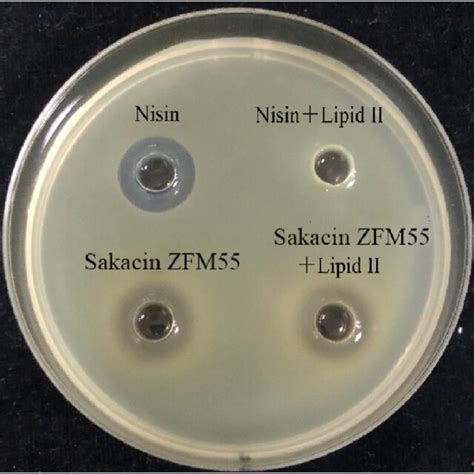 Pdf Purification Characterization And Mode Of Action Of Sakacin Zfm225 A Novel Bacteriocin