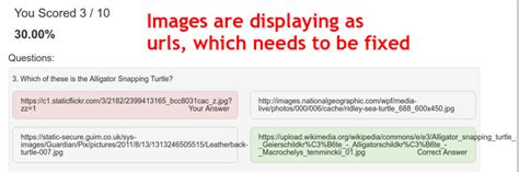 Part 23 Angularjs Quiz App Tutorial