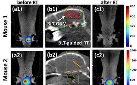 Optical Tomography Guided Pre Clinical Radiation Therapy Wang Ken