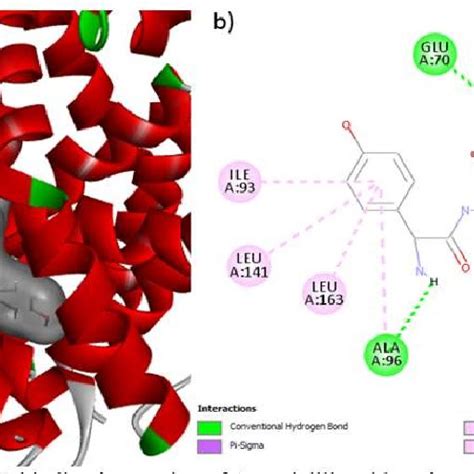 A 3d And B 2d Binding Interaction Of Amoxicillin With The Active Download Scientific
