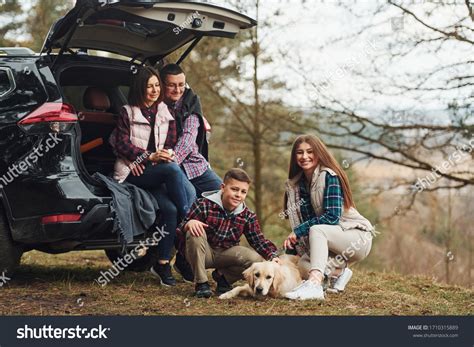 Viajando con una mascota camion Más de 2 081 fotos de stock con licencia libres de regalías