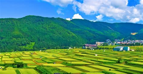 Php開発｜地方で開発したい方も募集！あなたの生活を第一に考えている会社 H＆m Software株式会社のwebエンジニアの採用 Wantedly