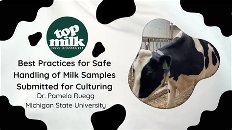 Best Practices For Safe Handling Of Milk Samples Submitted For Culturing YouTube