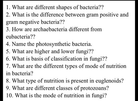 1 What Are Different Shapes Of Bacteria2 2 What Is The Difference Between Gram Positive And Gram