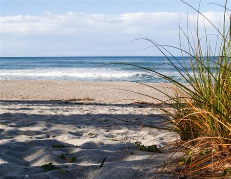Ocean View Beyond Marram Grass On Beach Stock Image Image Of Seascape
