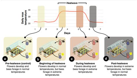 Functional Ecology Plain Language Summaries For Every Paper Published In Functional Ecology