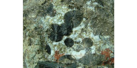 Smectite Properties Formation Uses Geology Science