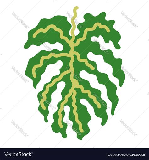 Fresh Botanical Leaf Element Royalty Free Vector Image