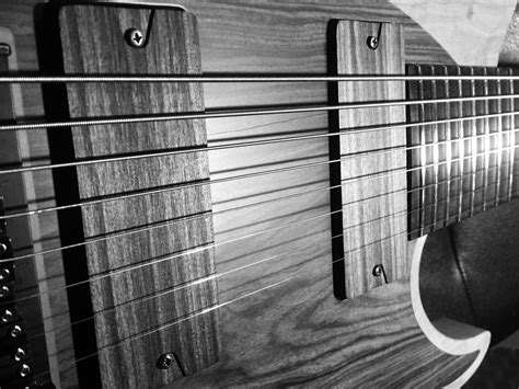 World Music Instrument Models And Theory Tools The Stunning Potency Of Visual Classification