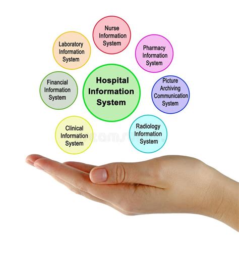 Hospital Information System Stock Photo Image Of Palm Medical