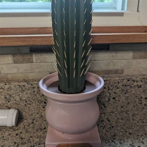 Sunglass Holder For Wall Multiple Colors The Ripple Rack Etsy