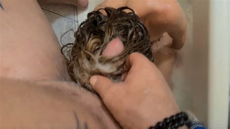 Kinkyhornycpl Hair Washing Hair Job In The Bathtube Manyvids