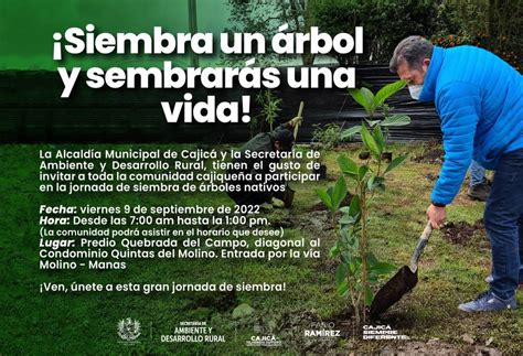 ¡siembra Un árbol Y Sembrarás Una Vida Cajicá Alcaldía Municipal