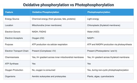 Oxidative Phosphorylation Vs Photophosphorylation