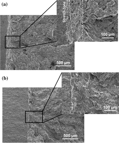 Sem Micrographs Of Fracture Surfaces Of Low Constraint Specimens Download Scientific Diagram