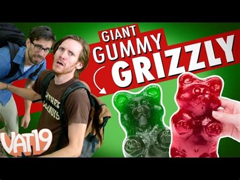Gummy Grizzly Bear Vat19