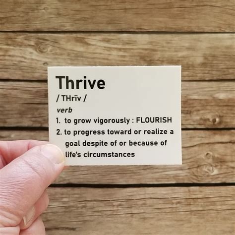 Thrive Definition Sticker Waterproof Bottle Decal Laptop Sticker